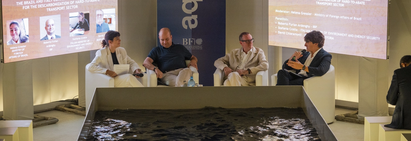 IBP debate cooperação internacional e descarbonização do setor de ...