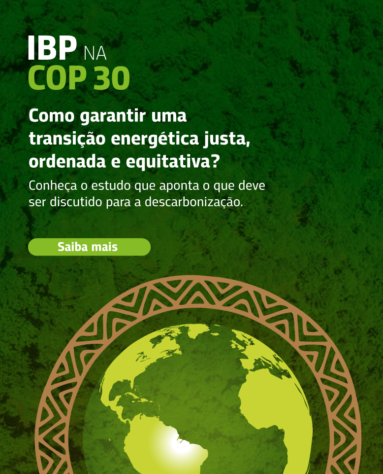 IBP – Instituto Brasileiro de Petróleo e Gás | Conectar a indústria ...